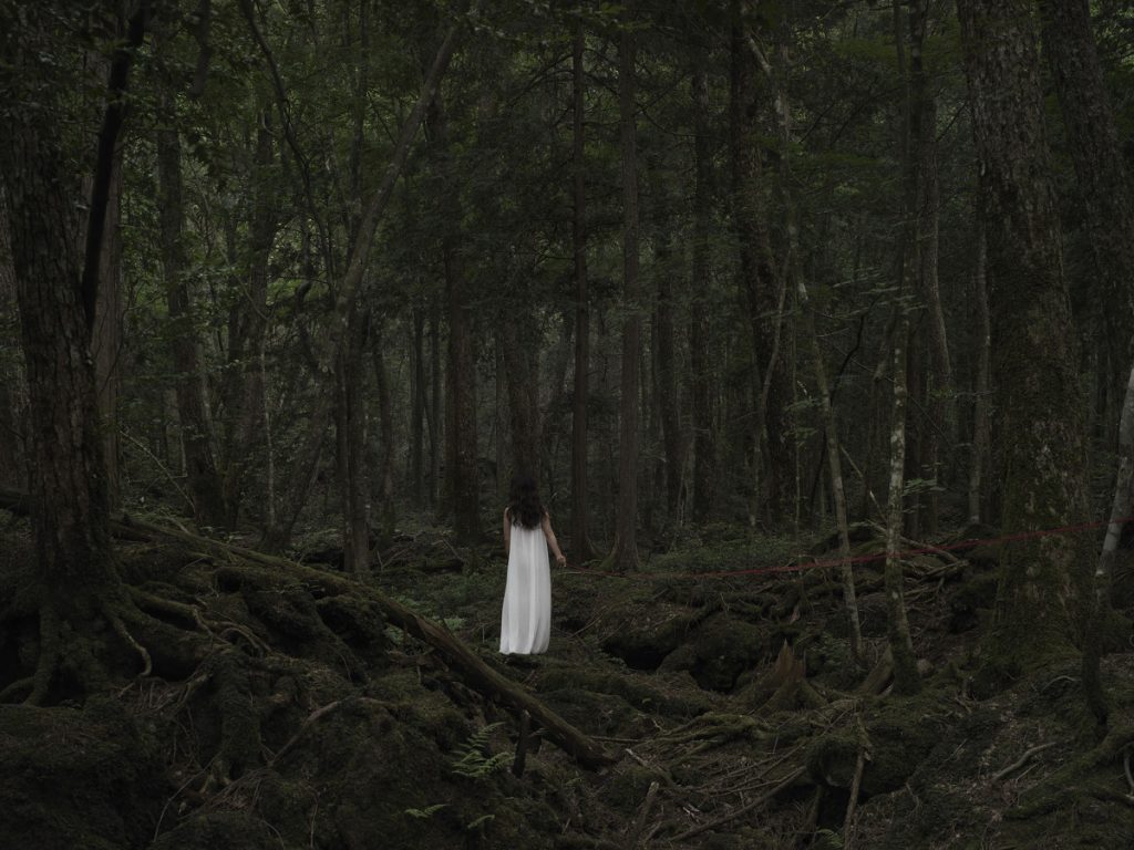 Hakanai Sonzai - Pierre-Elie de Pibrac